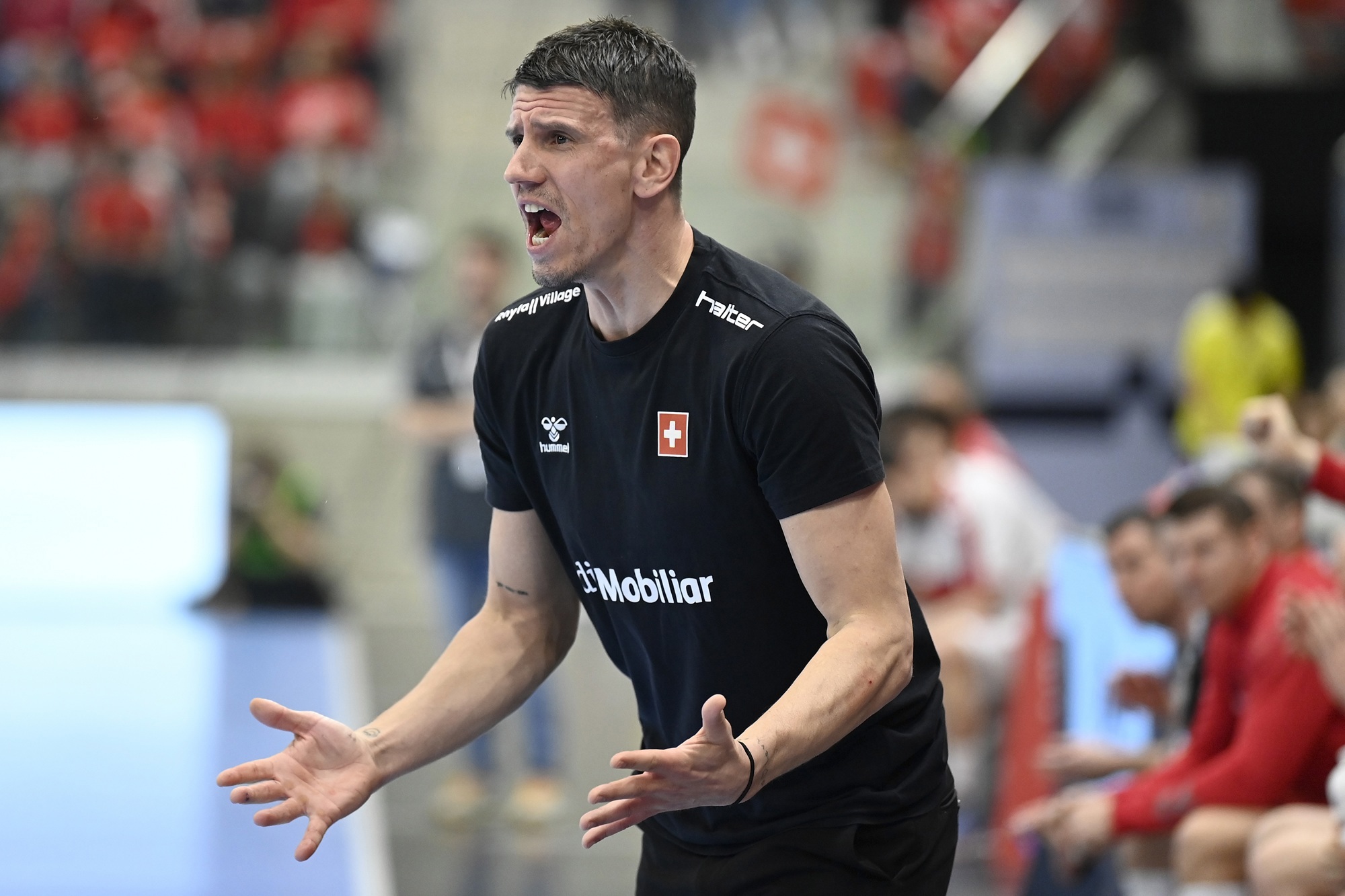 All you need to know about the Men’s EHF EURO 2026