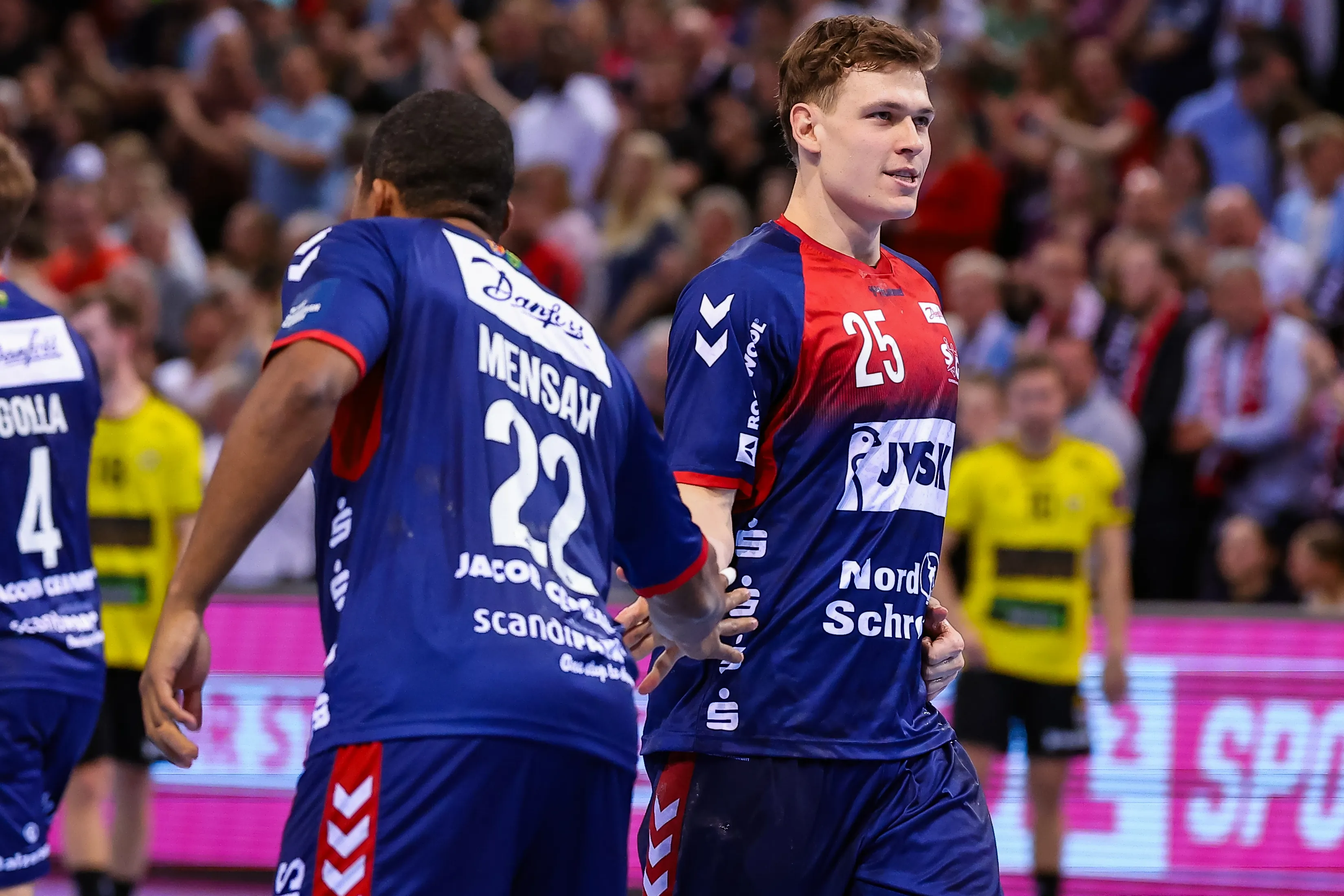 Flensburg concede first home loss, but make it to EHF Finals